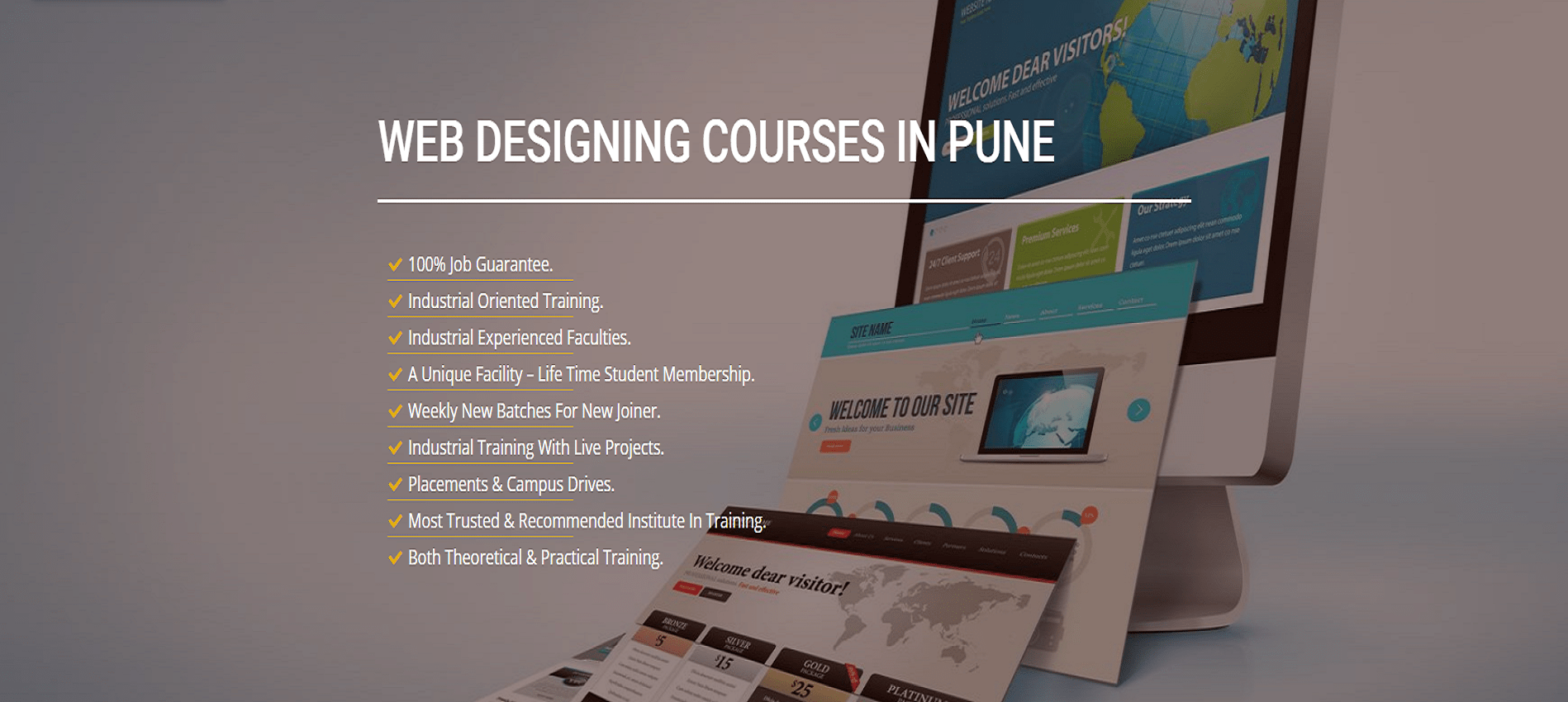 Advnace Web Design Course & Ui/Ux Design Course In Pune
